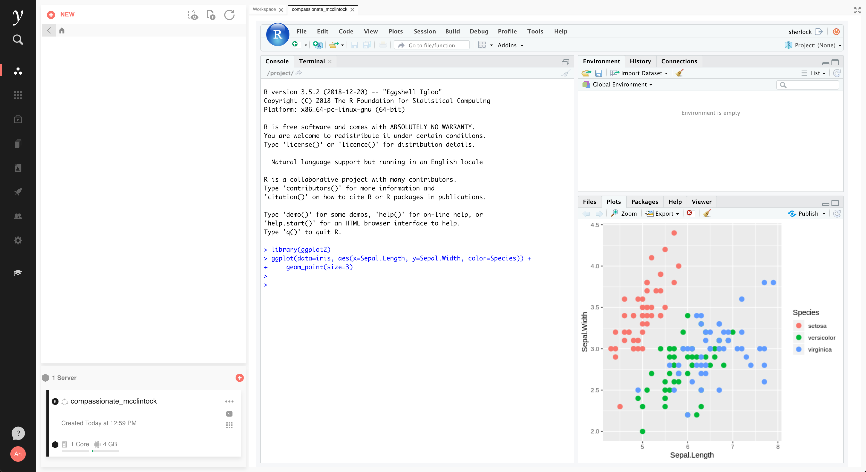 Using R — Faculty platform documentation